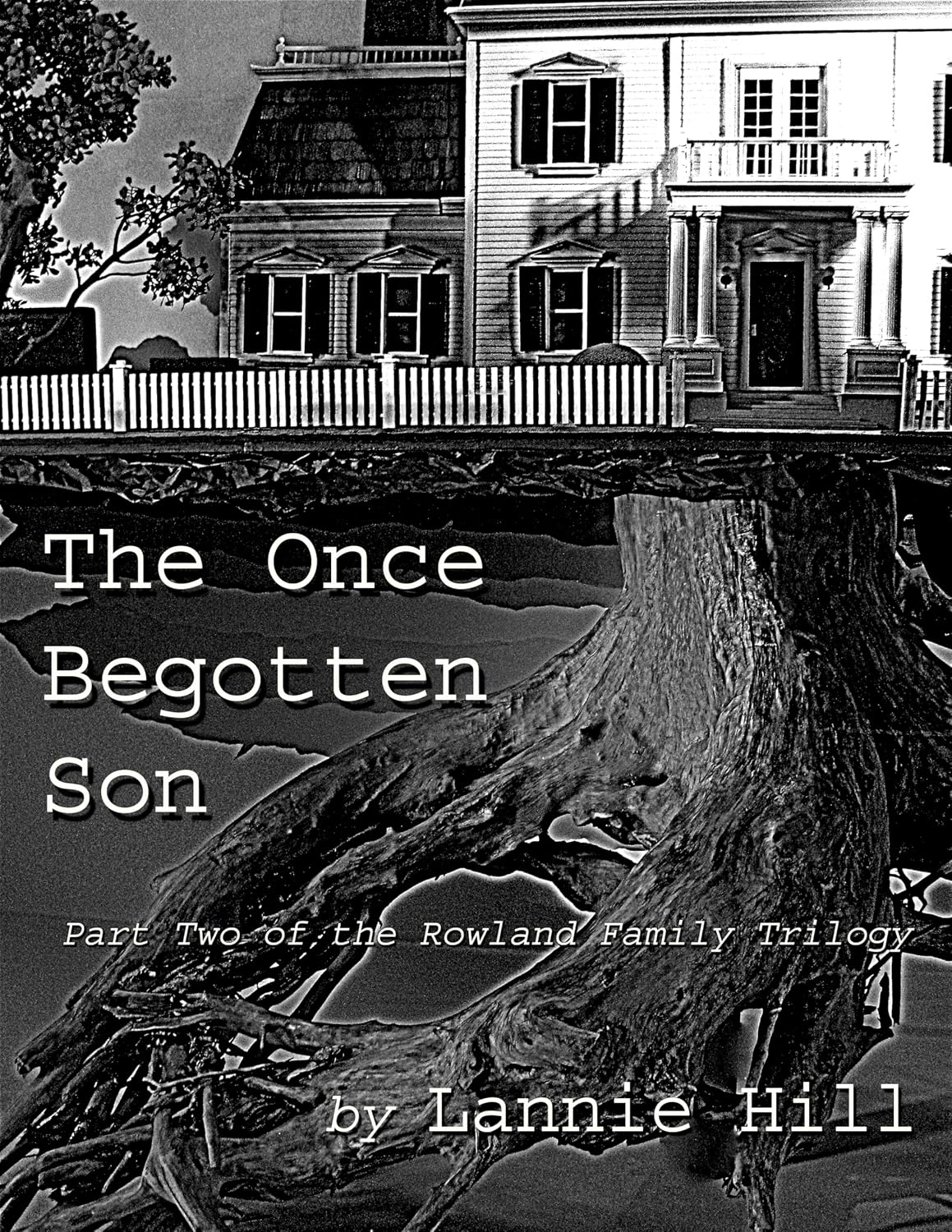 The Once Begotten Son - Kindle edition by Hill, Lannie. Literature ...