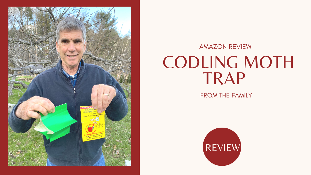 Watch Codling Moth Traps 2 Pack 8 Weeks Review on Amazon Live