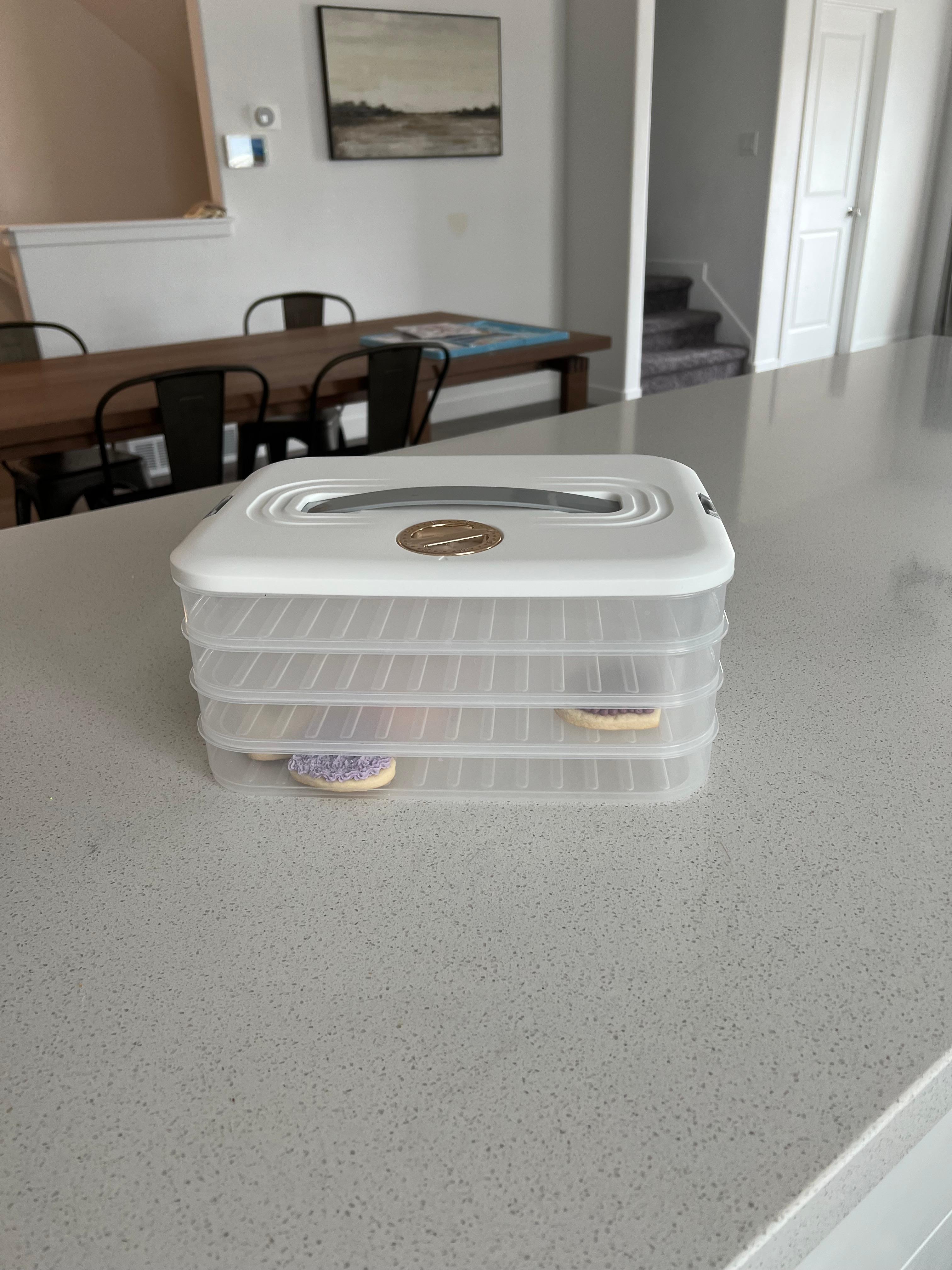 Watch Lightweight, baked goods container with four layers! on Amazon Live