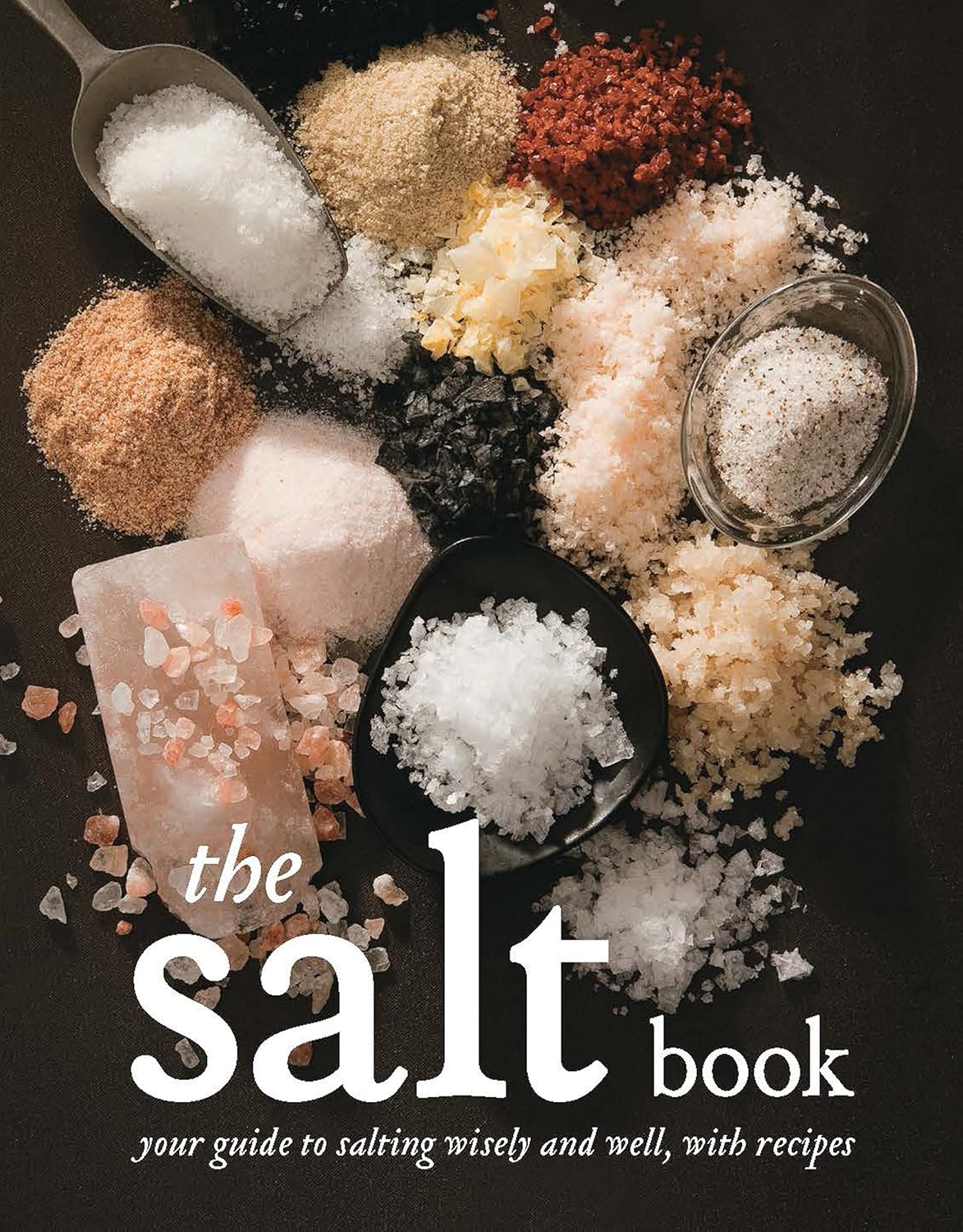 Amazon | The Salt Book: Your Guide to Salting Wisely and Well, with ...
