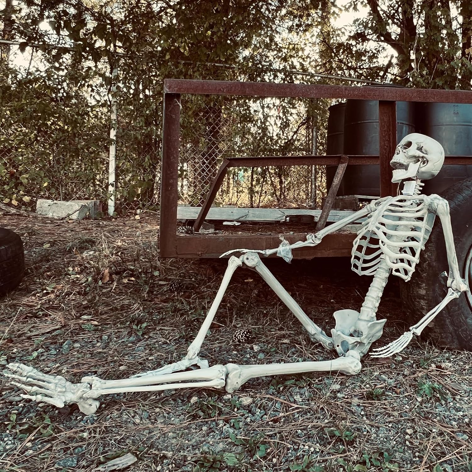 Amazon.com: Halloween Skeleton Decoration – 6FT Posable Life-Size ...