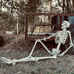 Amazon.com: Halloween Skeleton Decorations - 6FT Life Size Skeleton ...