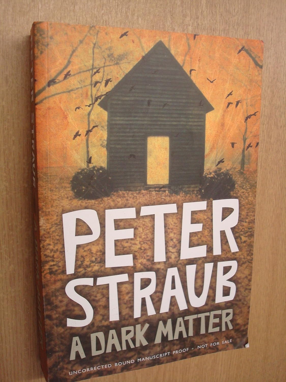 A Dark Matter: Straub, Peter: 9780375728389: Books - Amazon.ca