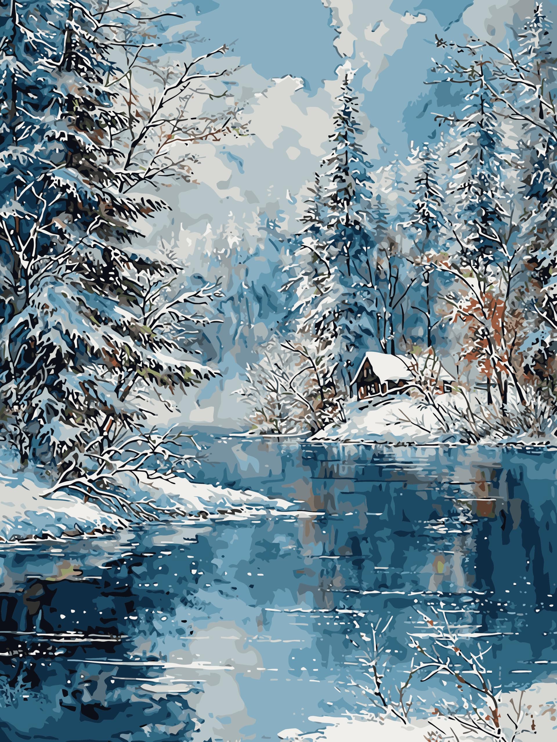Amazon.com: Winter Lake Snow Forest Paint by Numbers Kit for Adults ...