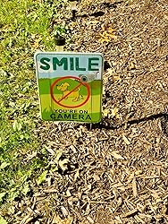 Amazon.com : Funny Smile You're On Camera Yard Signs with Stakes, 2 ...