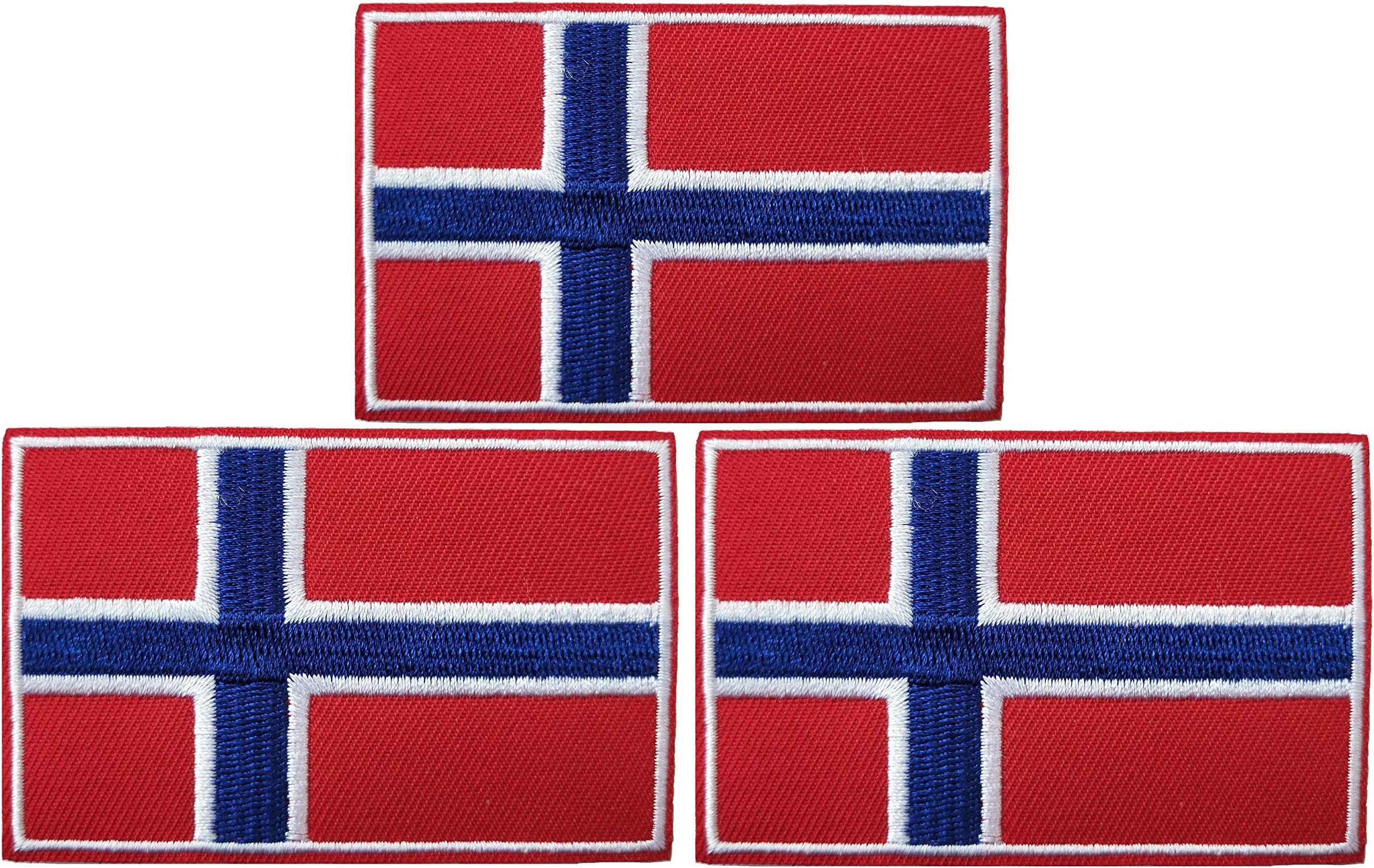 Amazon.com: Norway Flag Embroidered Emblem Norwegian National Iron On ...