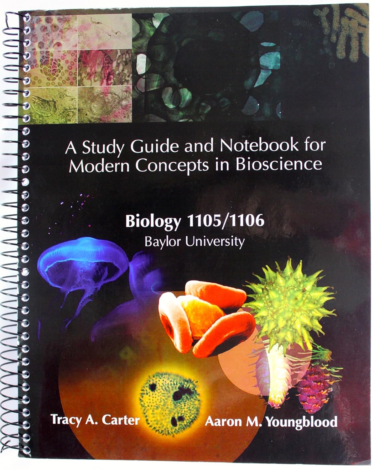 A Study Guide and Notebook for Modern Concepts in Bioscience: Tracy A ...