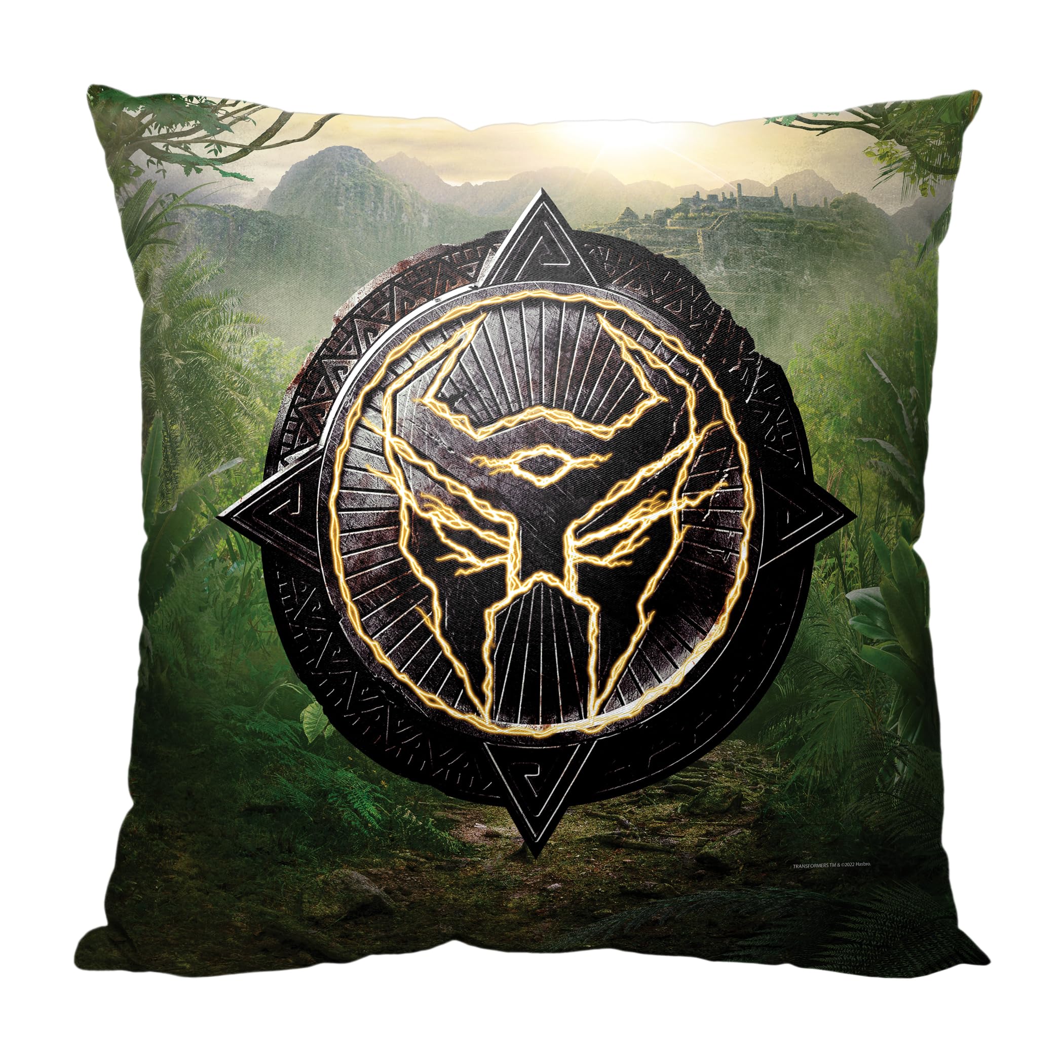 Amazon.com: Northwest Transformers Pillow, 18" x 18", Terrorcon Shield ...