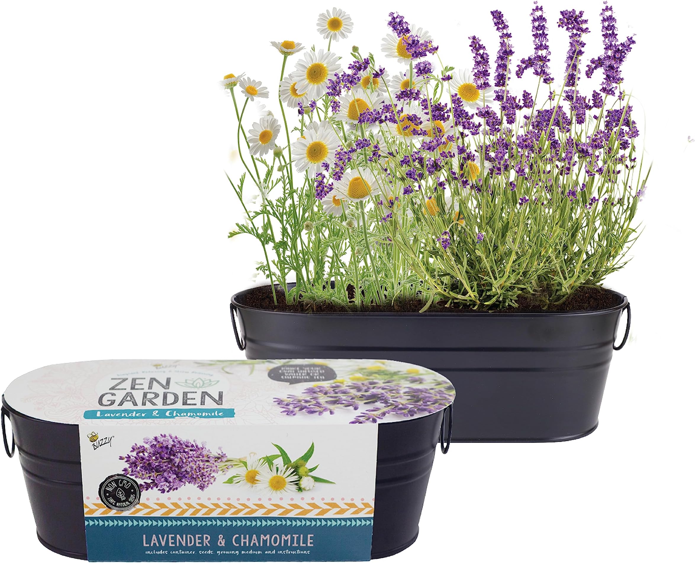 Amazon.com: Buzzy Seeds Chamomile & Lavender | Herb, Plant, Flower ...