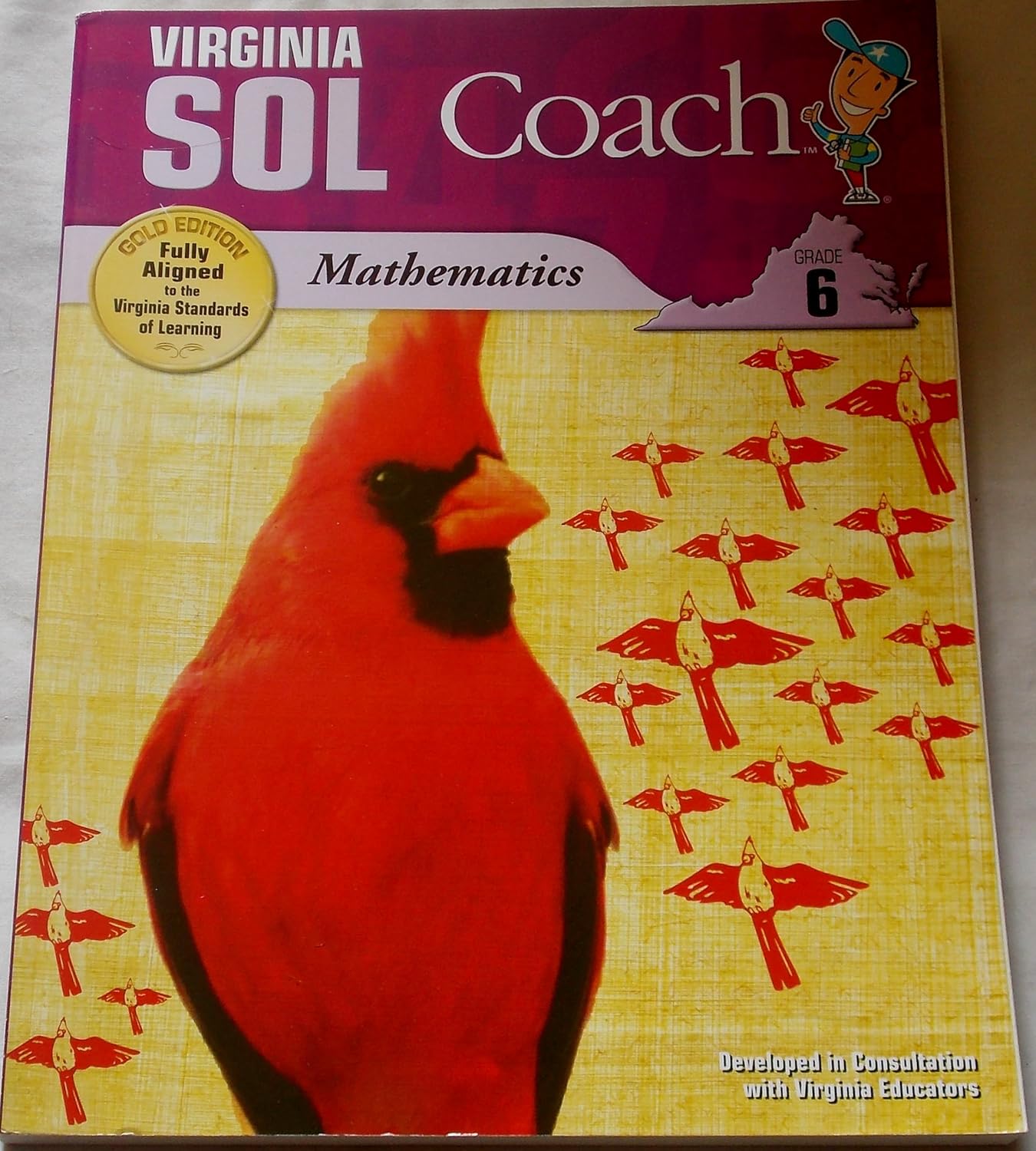 Virginia SOL Coach Mathematics Grade 6: Tabula Rasa: 9781604716856 ...