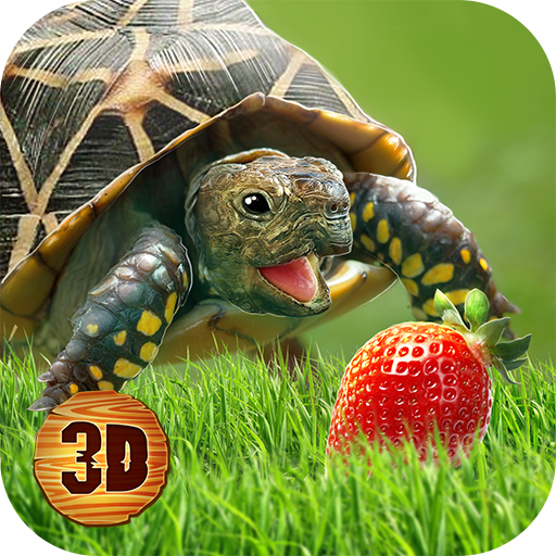 Turtle Simulator: Home Life - App on Amazon Appstore