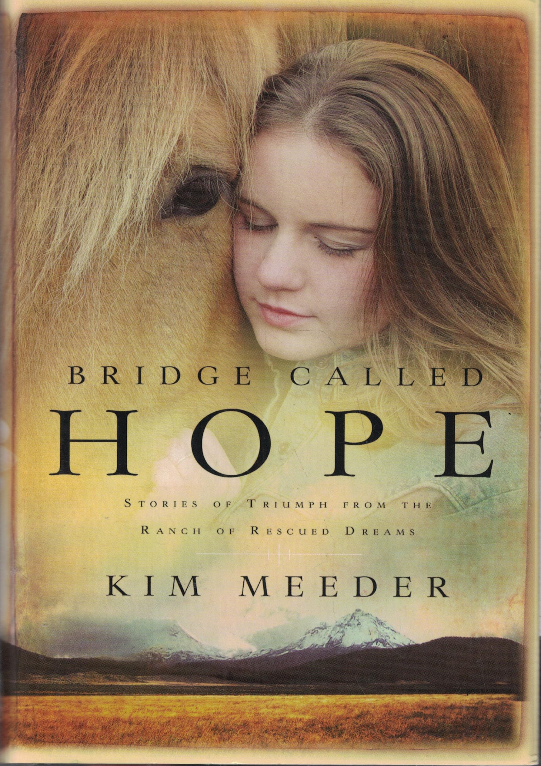 Bridge Called Hope: Kim Meeder: 9780739472057: Amazon.com: Books