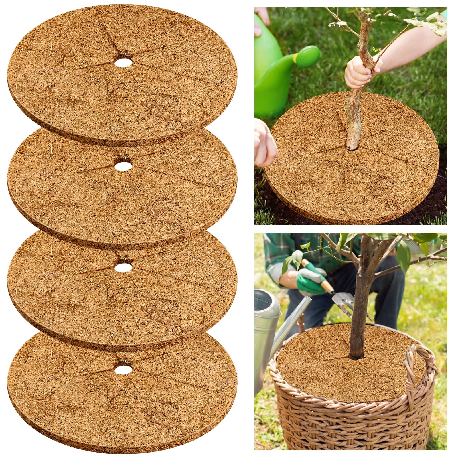 Amazon.com : Legigo 4pcs Coconut Fiber Mulch Ring Tree Plant Protector ...