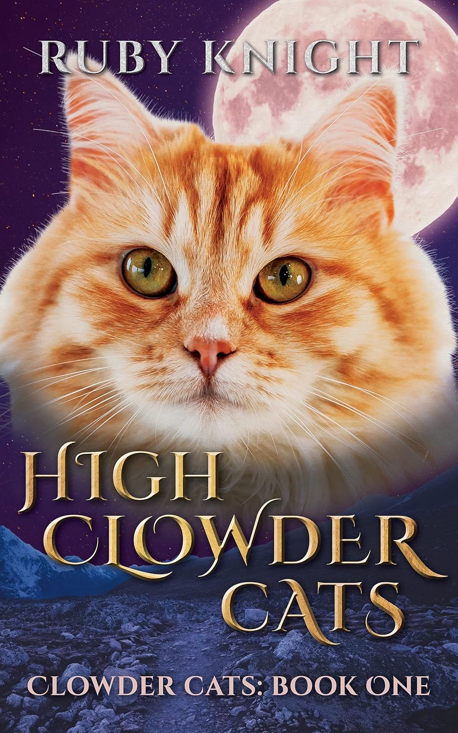 Amazon.com: High Clowder Cats eBook : Knight, Ruby: Kindle Store