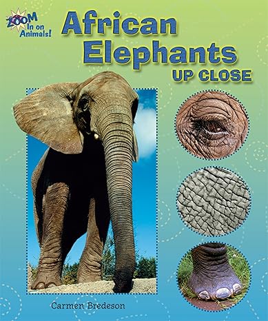 African Elephants Up Close (Zoom in on Animals!): Carmen Bredeson ...