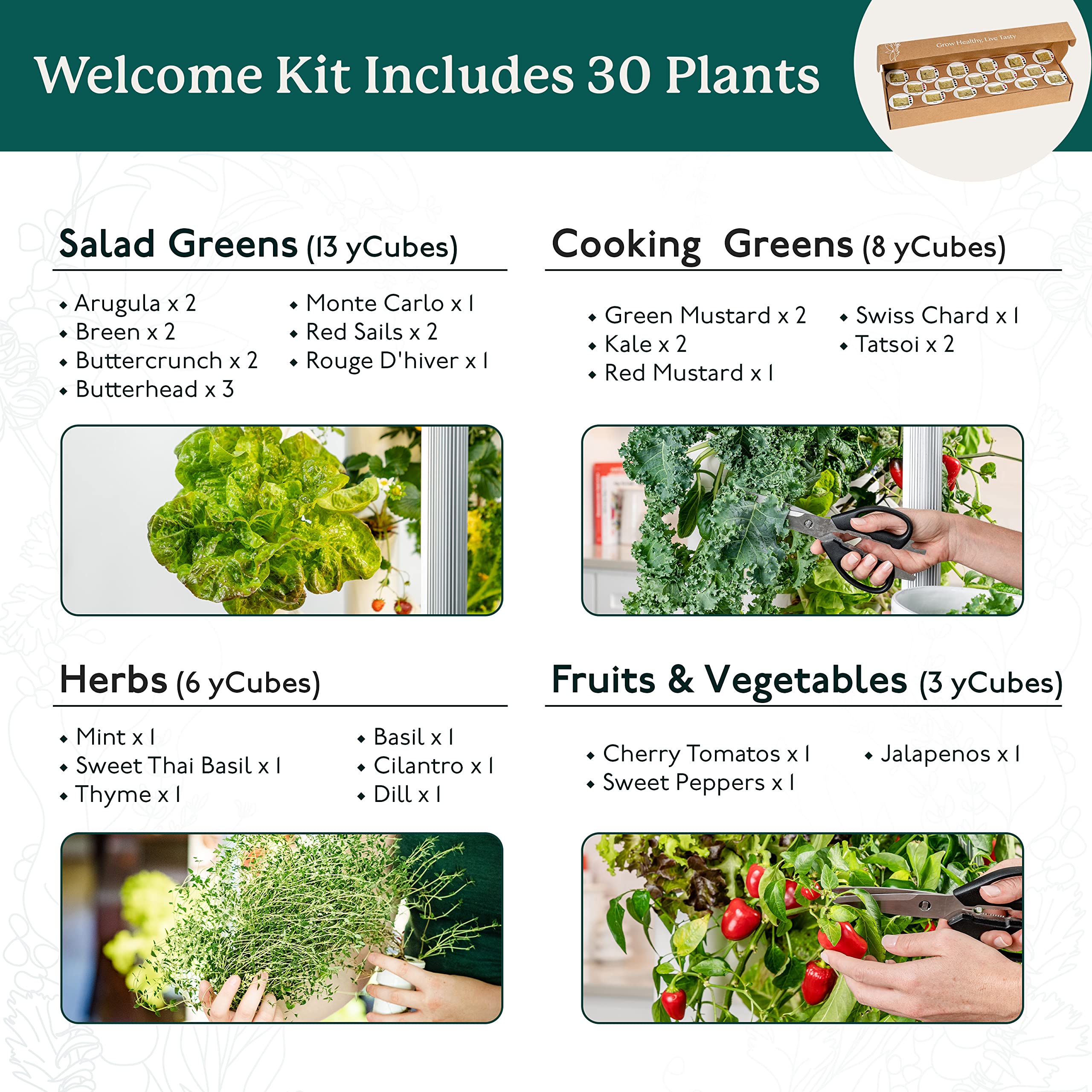 Snapklik.com : Gardyn Hydroponics Growing System Vertical Indoor Garden ...