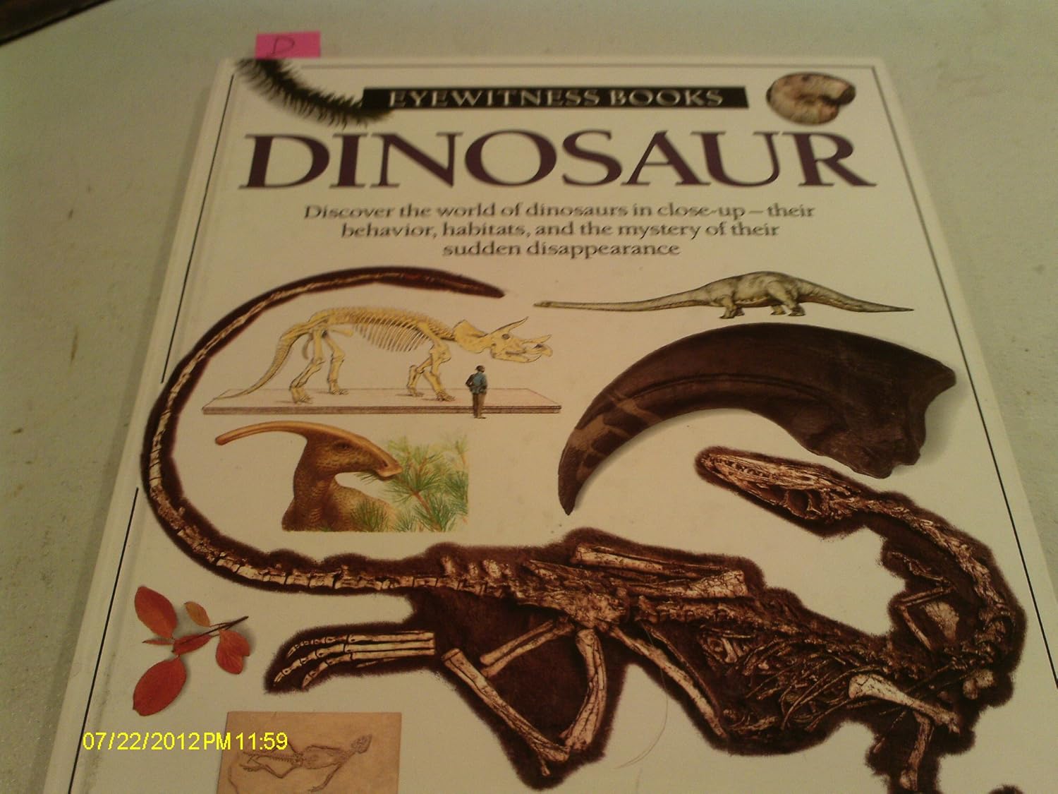 DINOSAUR (DK Eyewitness Books): Milner, Angela, Norman, David ...