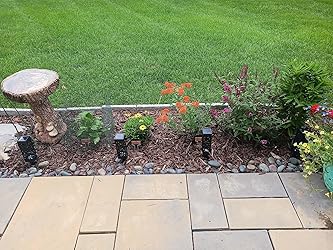 Amazon.com : 6 New Small Wire Plant Protectors, 12" Square, 12" high ...