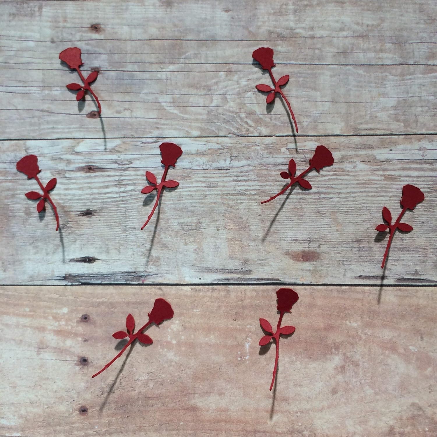 Amazon.com: Rose Confetti, Flower Decorations, Valentines Day Party ...