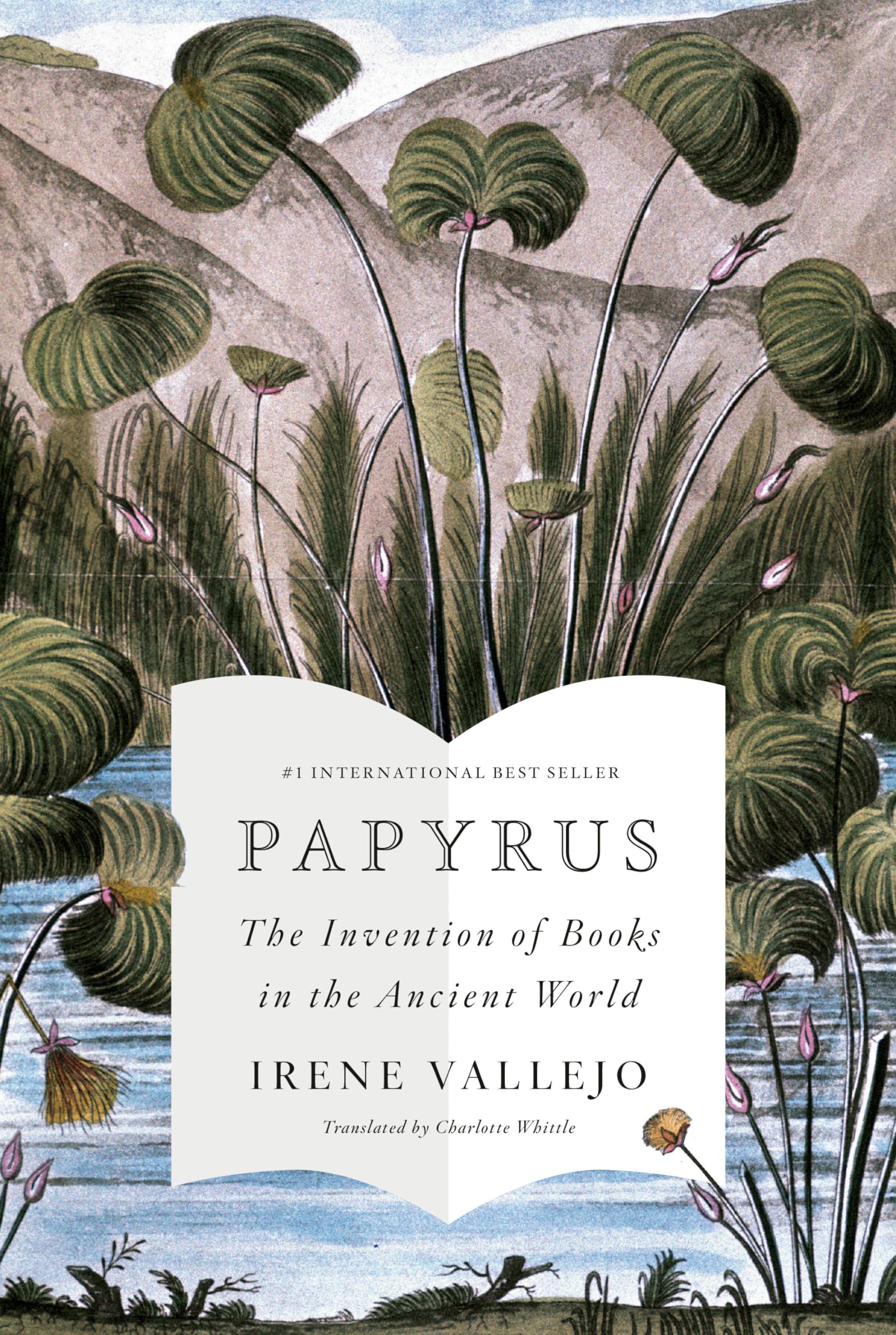 Papyrus: The Invention of Books in the Ancient World: Vallejo, Irene ...
