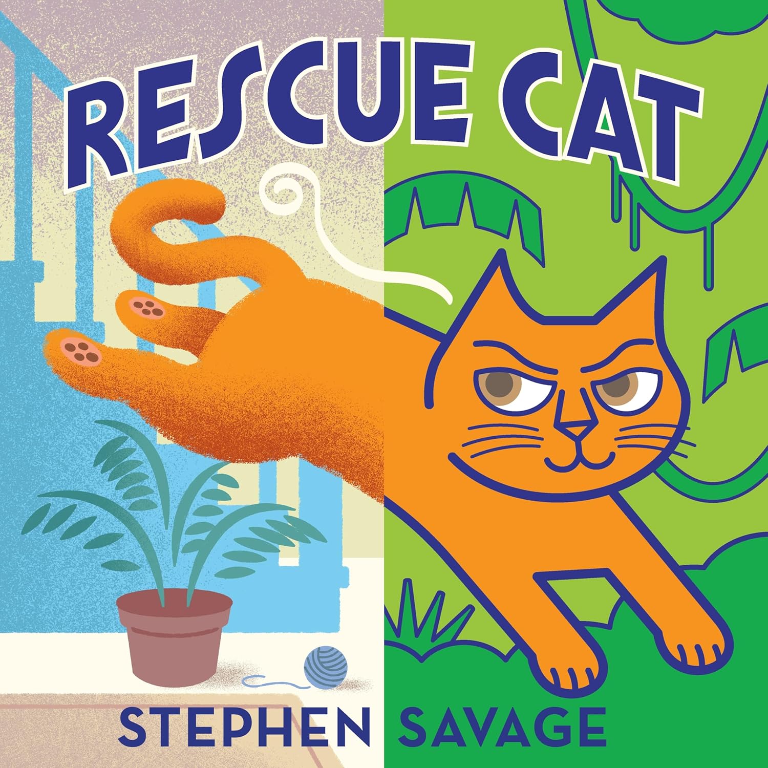 Rescue Cat: Savage, Stephen, Savage, Stephen: 9781626721548: Amazon.com ...