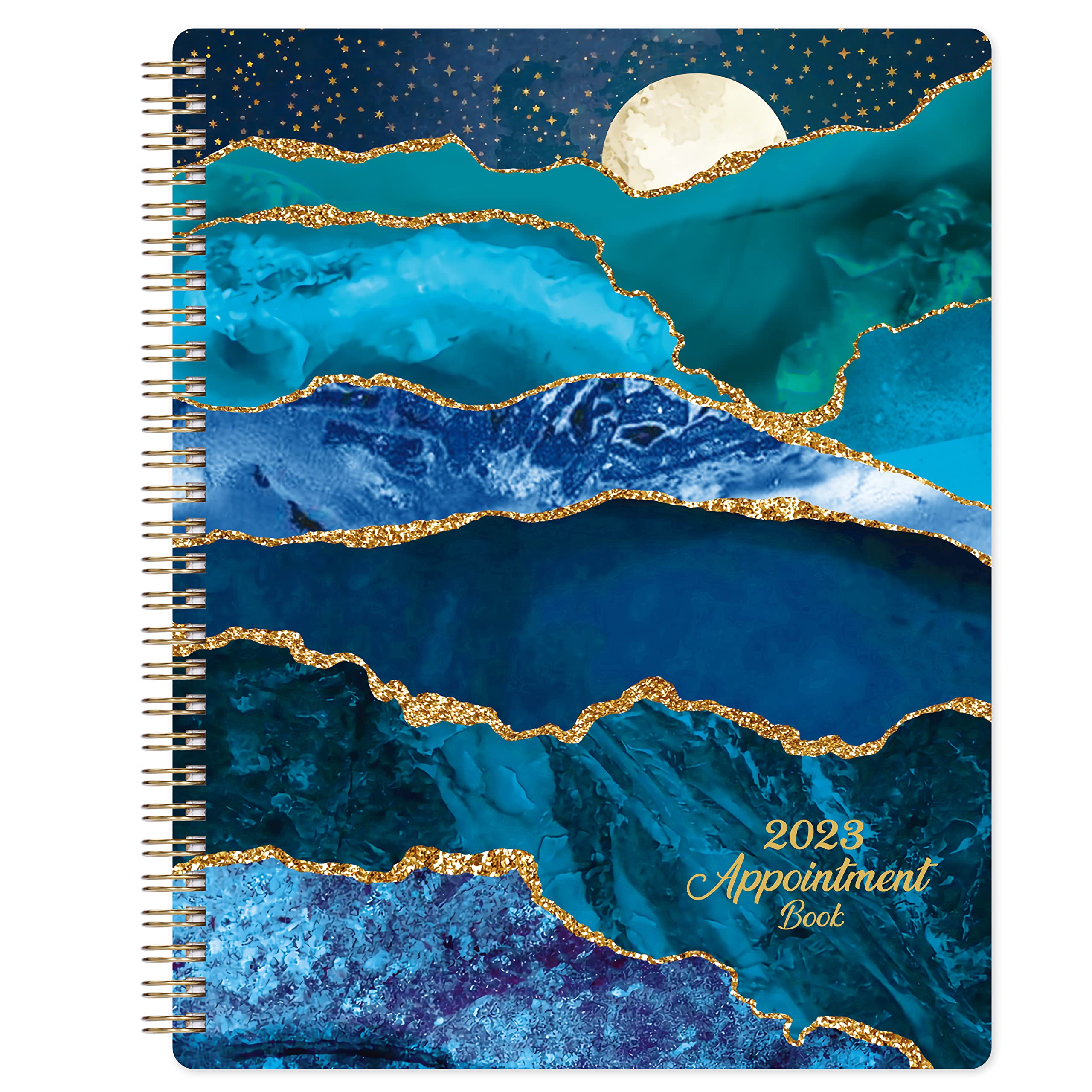 Buy 2023-2024 Weekly Appointment Book & Planner - , Jul 2023 - Jun 2024 ...