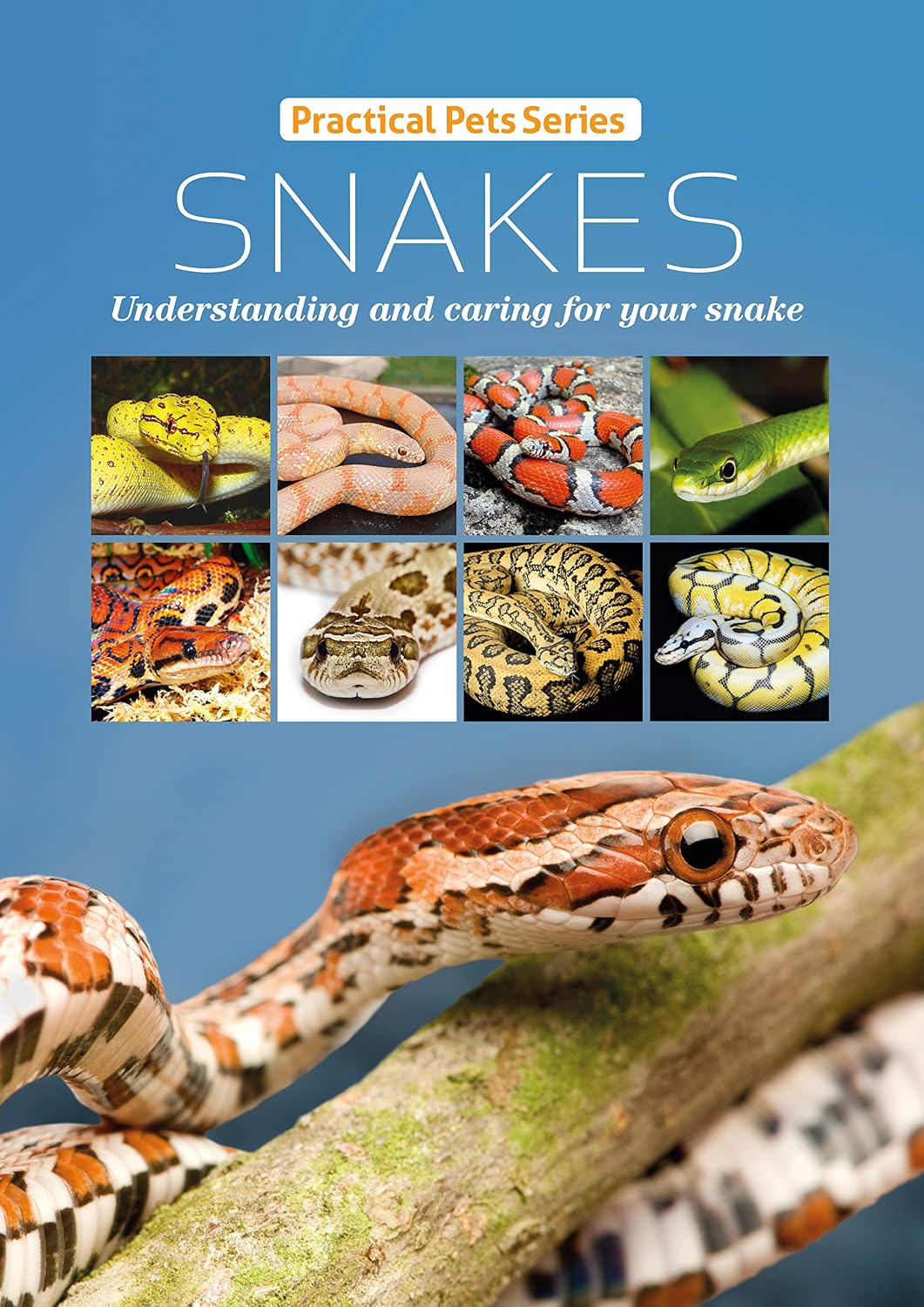 Snakes: Understanding and caring for your snake (Practical Pets Series ...