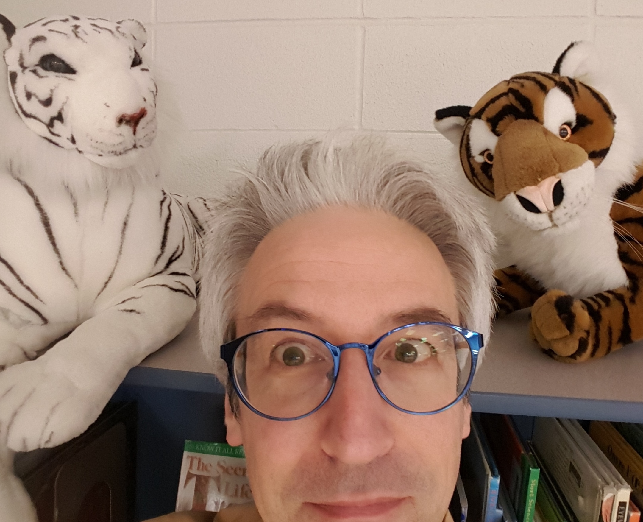 Amazon.com: Dan Bar-el: books, biography, latest update