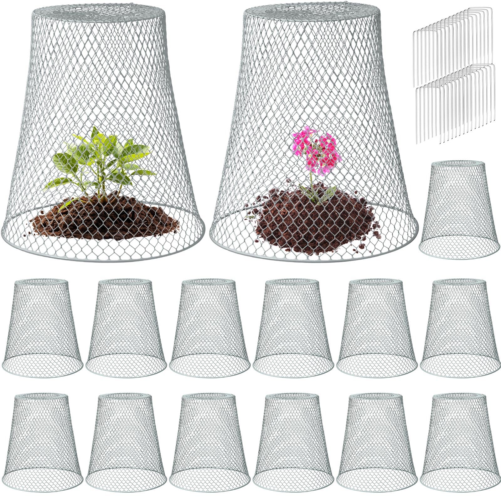 15 Pcs Large Chicken Wire Cloche Plant Protector Cover 11x12 Inch Metal ...