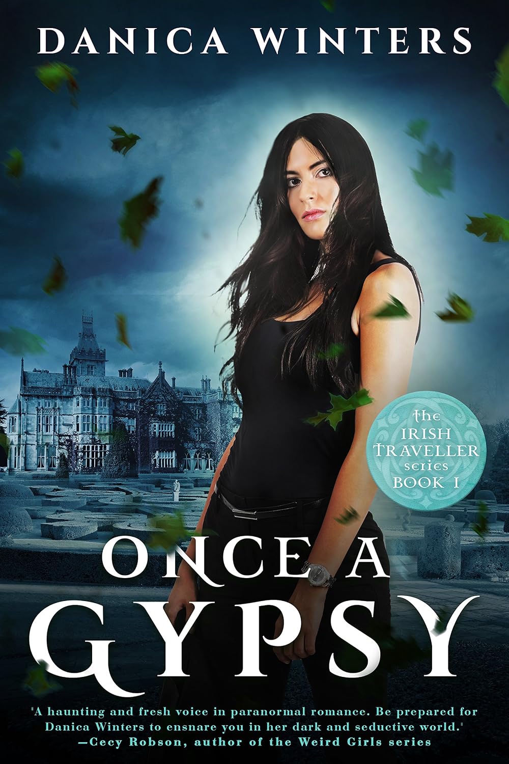 Once a Gypsy: The Irish Traveller Series – Book One : Winters, Danica ...