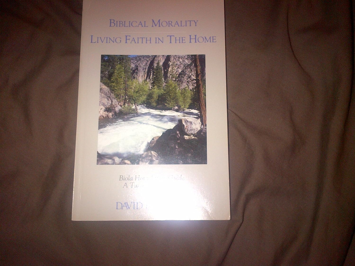 Biblical Morality / Living Faith in the Home: David Hocking: Amazon.com ...