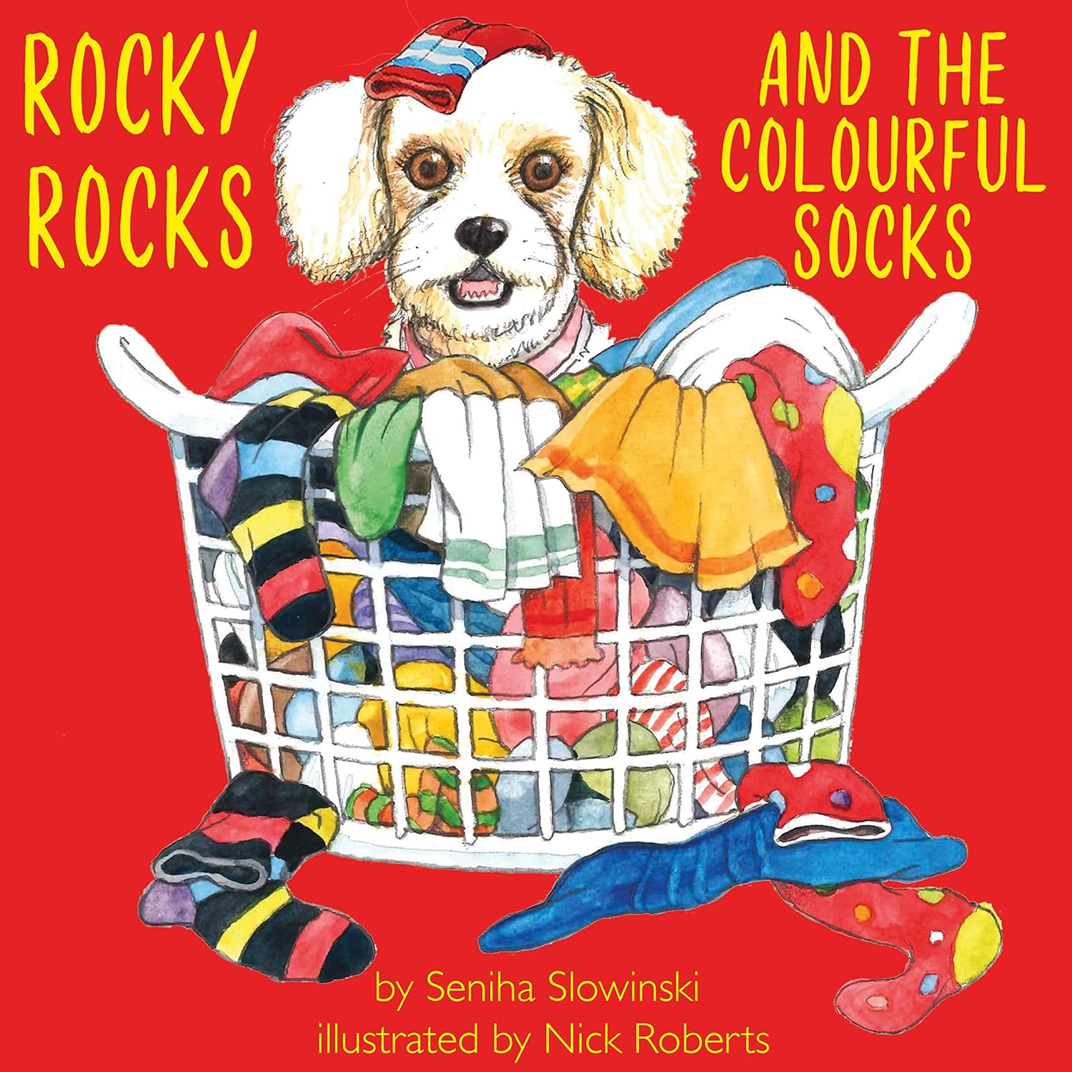 Rocky Rocks and the Colourful Socks - Kindle edition by Slowinski ...