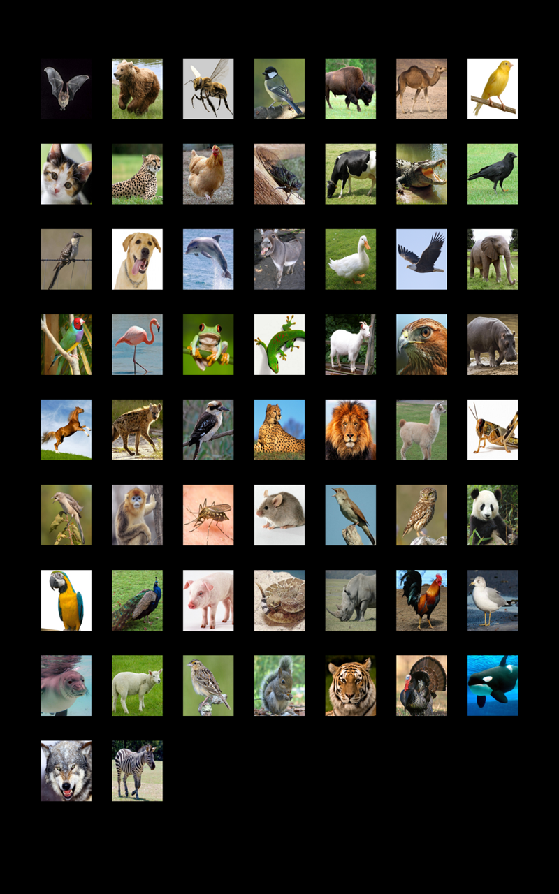 Animal Sounds 100+ - App on Amazon Appstore
