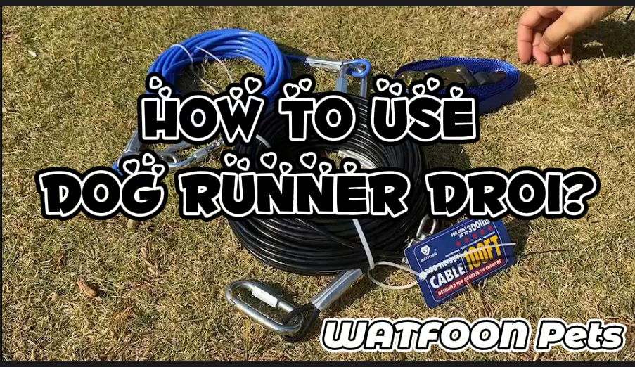 Watch WATFOON Dog Runner DR01 How to Use? on Amazon Live