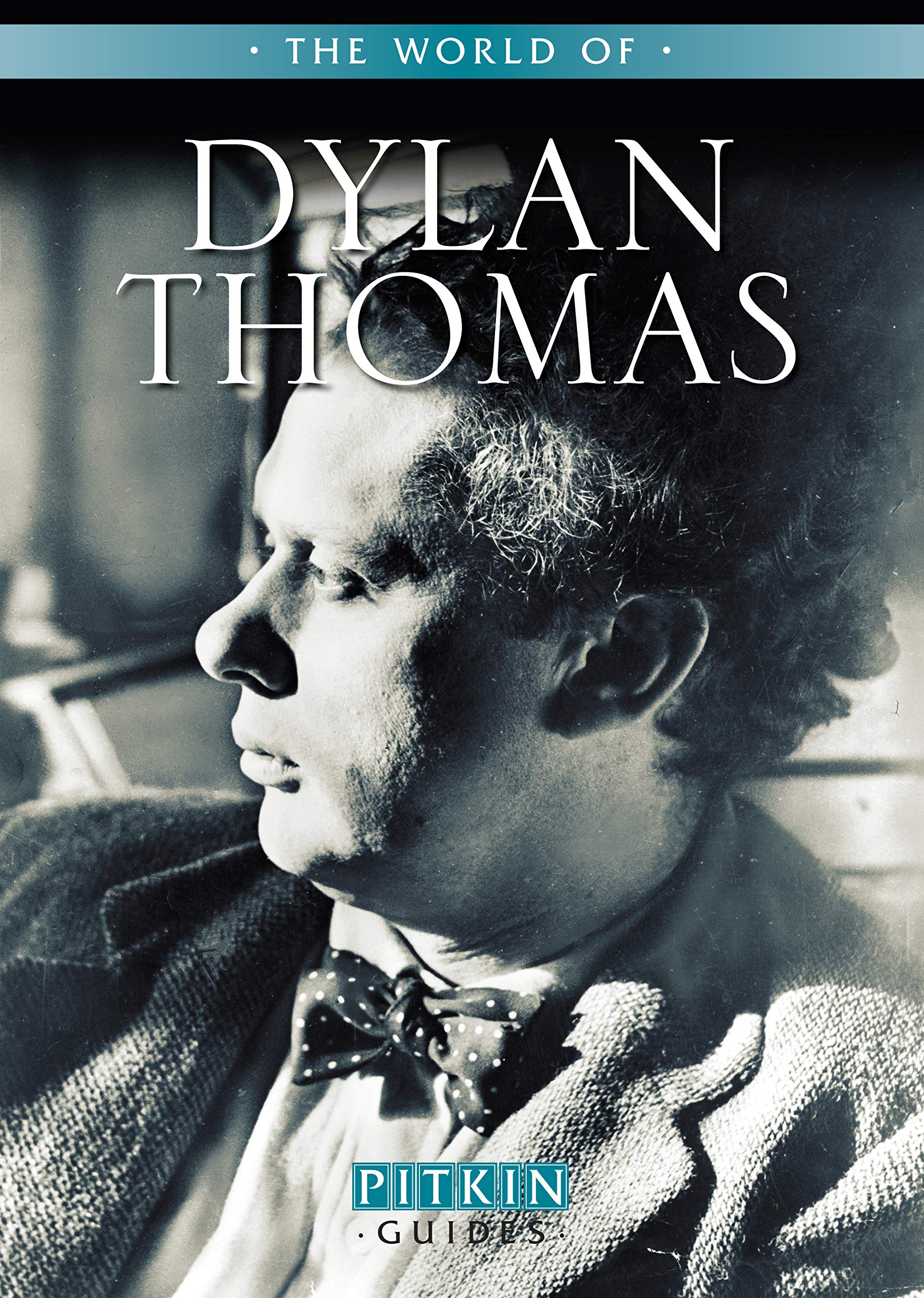 The World of Dylan Thomas: Stevenson, Peter: 9781841655345: Amazon.com ...