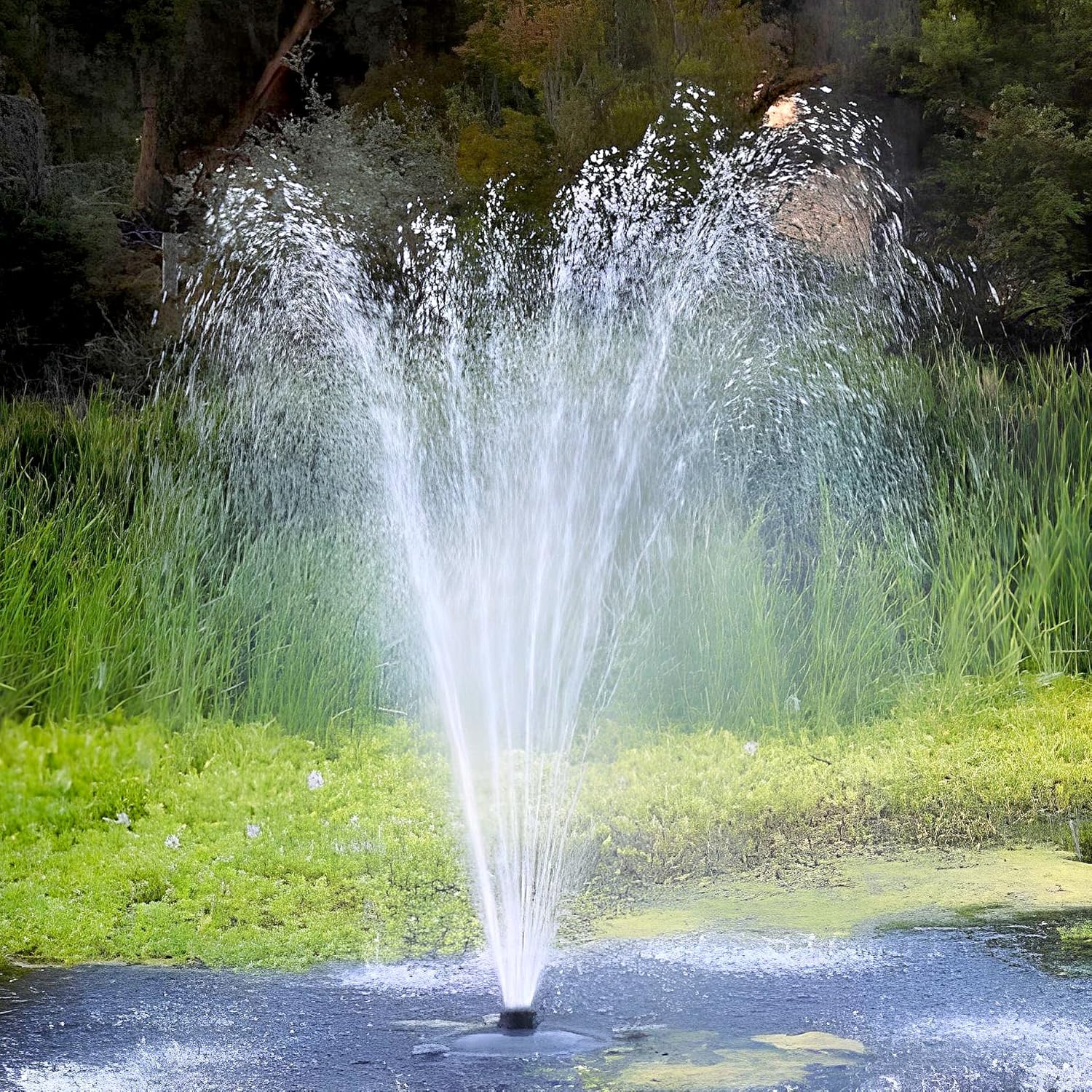 14,000 GPH Floating Pond Fountain and Aerator Kit Nepal | Ubuy