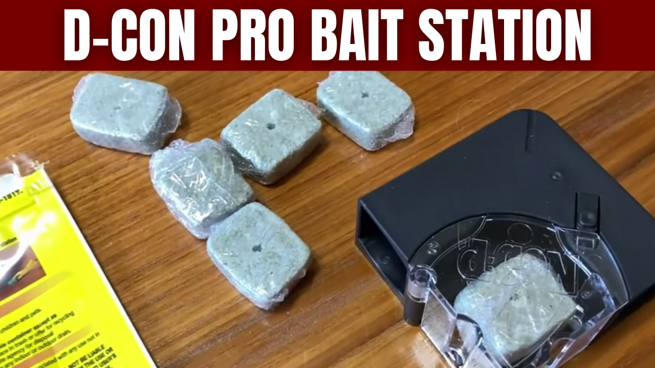 Watch D-Con Corner Fit Bait Station - Full Review on Amazon Live