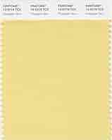 Pantone Smart 12-0735 TCX Color Swatch Card, Yellowtail, 41% OFF