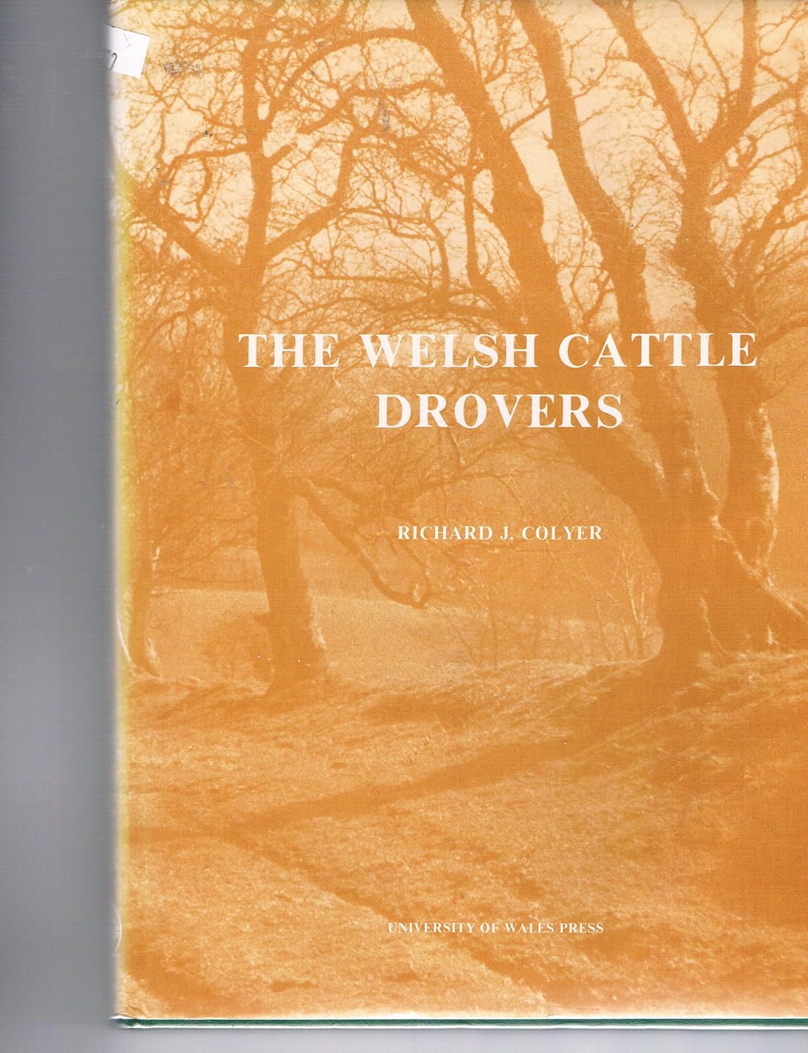 Welsh Cattle Drovers: Colyer, Richard J.: 9780708305928: Amazon.com: Books
