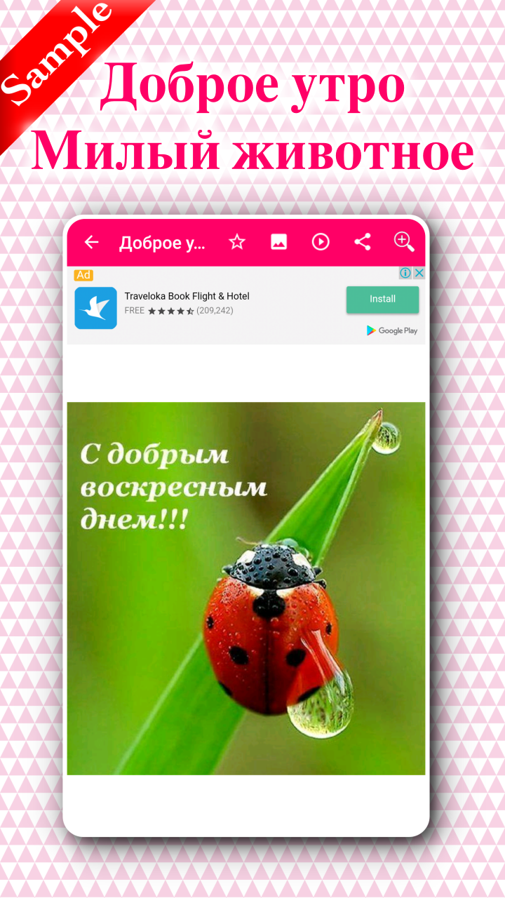 Good Morning Good Night in Russian - App on Amazon Appstore