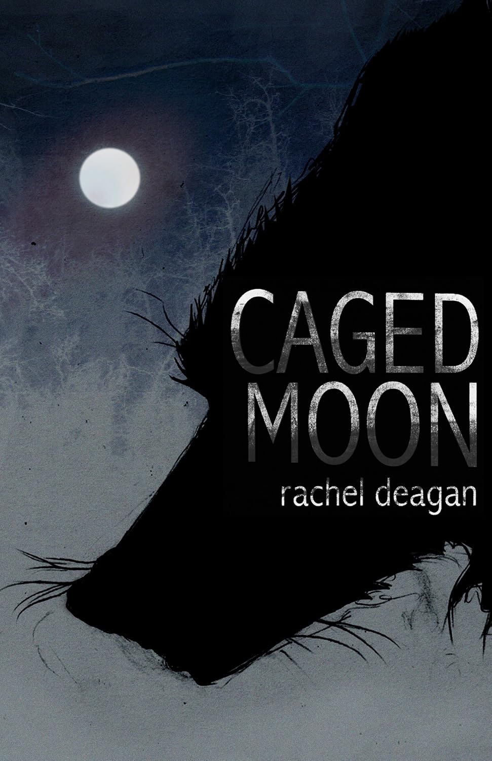 Amazon.com: Caged Moon (The Caged Moon Series Book 1) eBook : Deagan ...