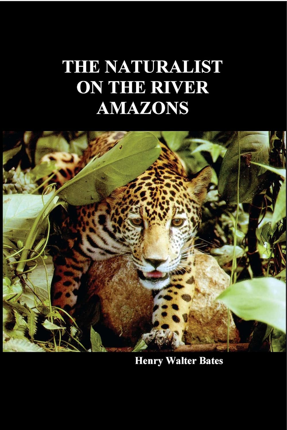 NATURALIST ON THE RIVER AMAZONS: Henry Walter Bates: Amazon.com: Books