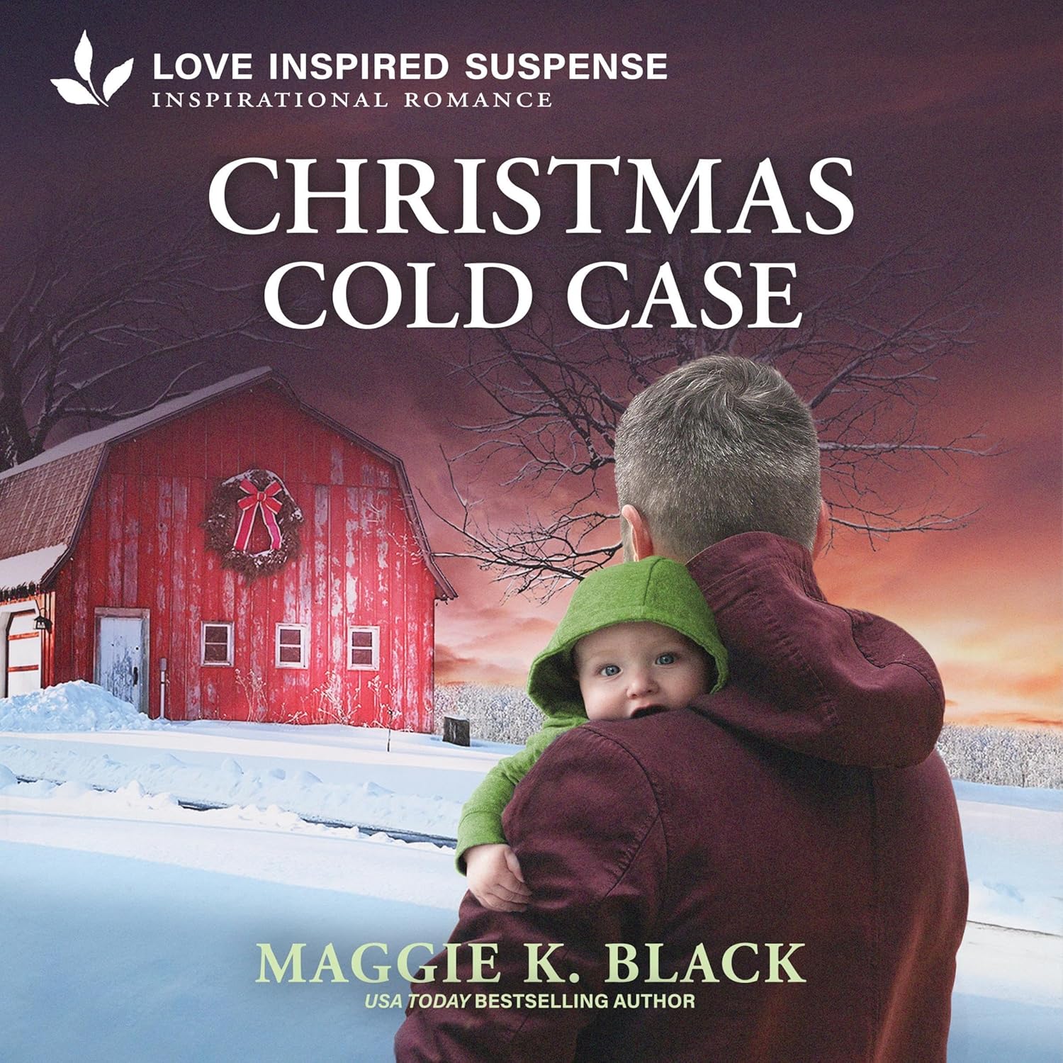 Amazon.com: Christmas Cold Case: Unsolved Case Files, Book 2 (Audible ...