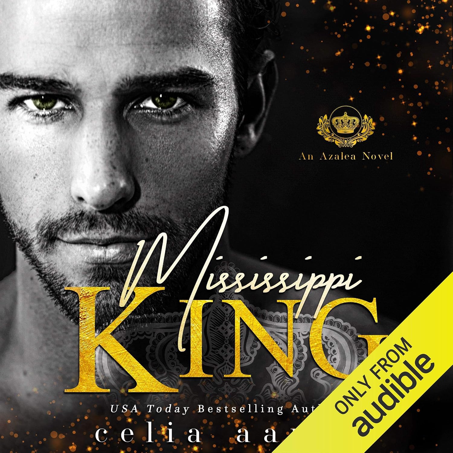 Amazon.com: Mississippi King (Audible Audio Edition): Celia Aaron ...