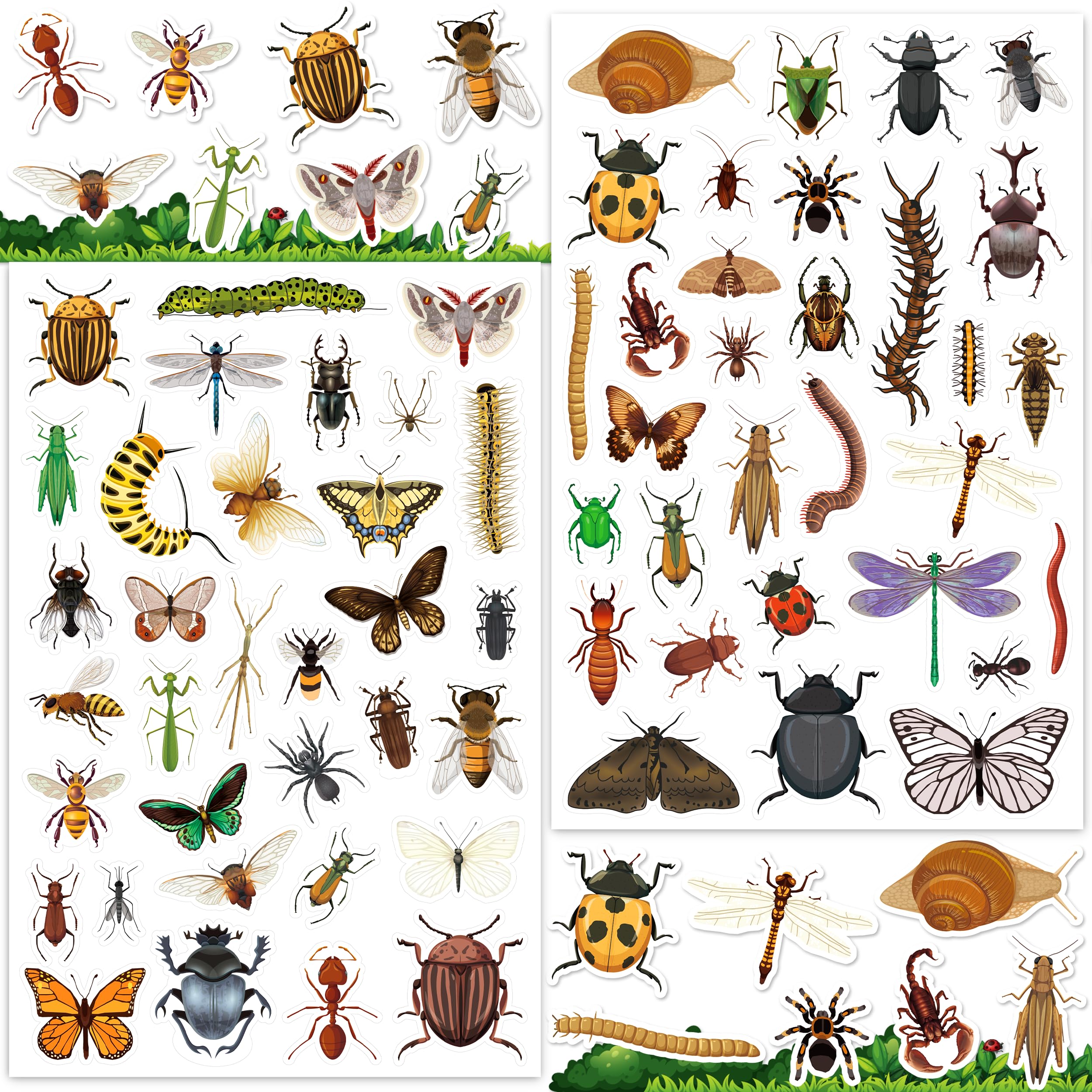 Amazon.com: LINAYE 24 Sheets Insect Stickers for Kids, 780 Counts Bug ...