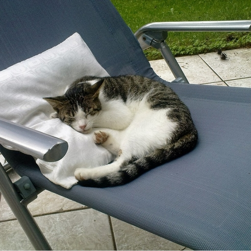 Ehati - App on Amazon Appstore