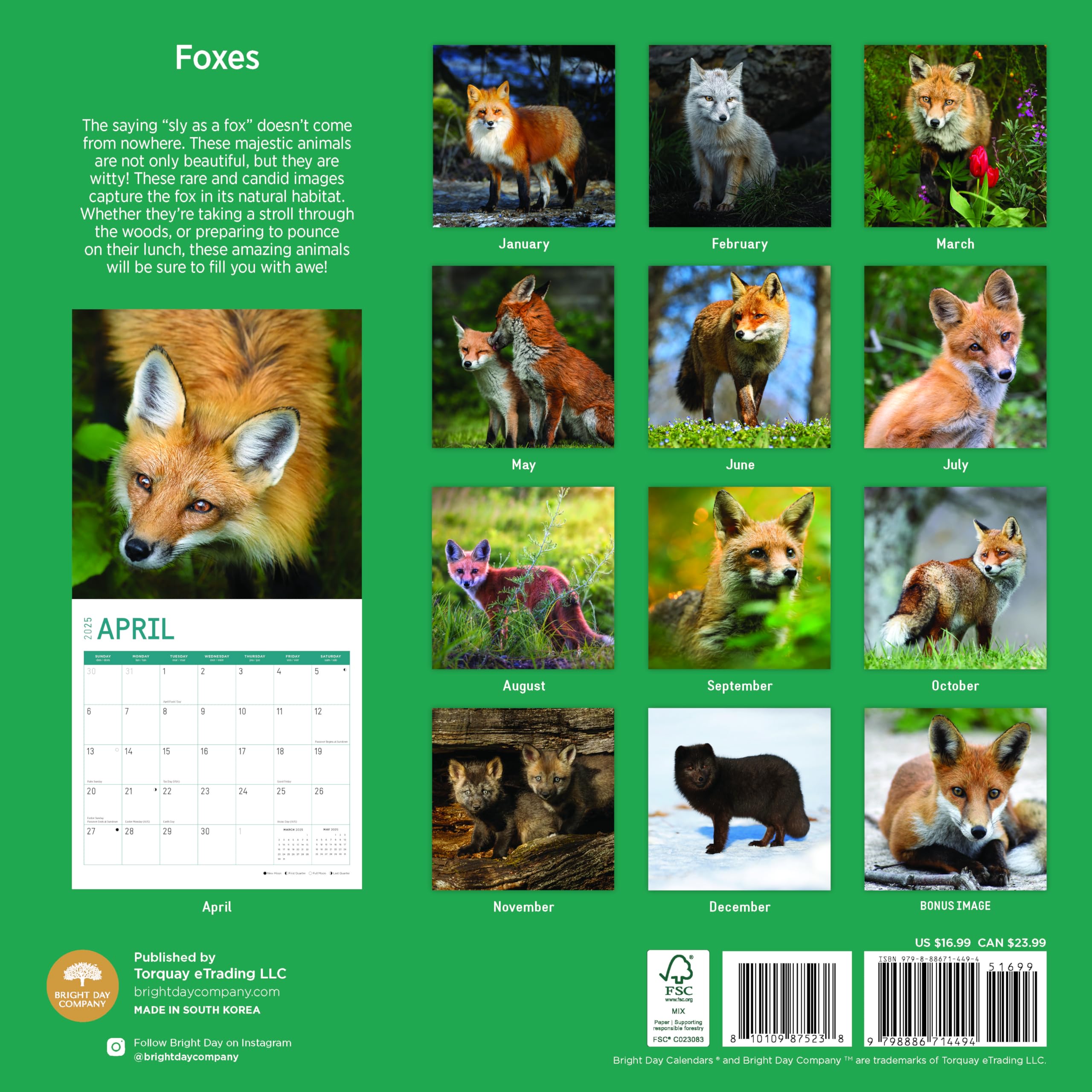 2025 Foxes Monthly Wall Calendar by Bright Day, 12 x 12 Inch Cute ...