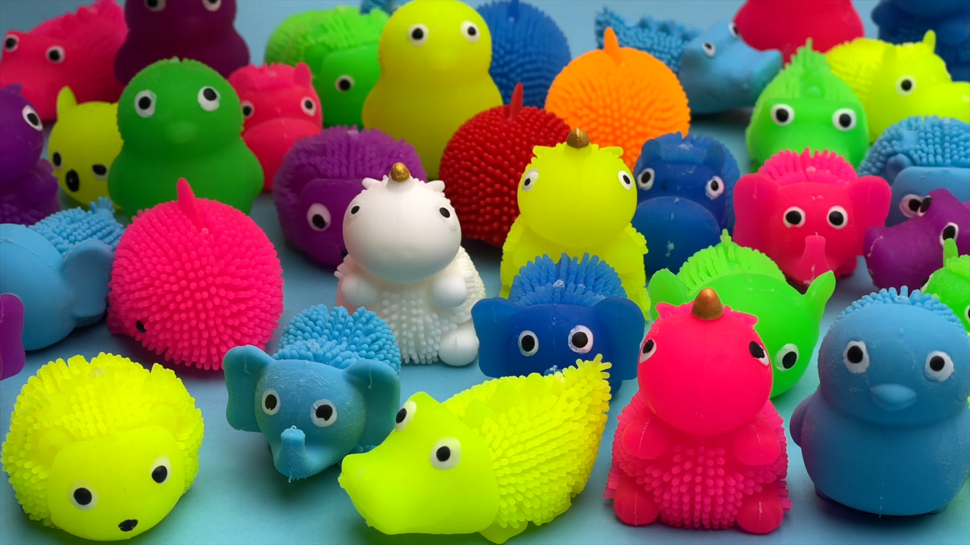 Watch Overview of the Squishy Toys on Amazon Live