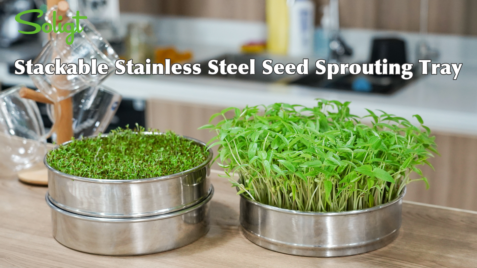 Watch Soligt Stackable Stainless Steel Sprouting Tray on Amazon Live