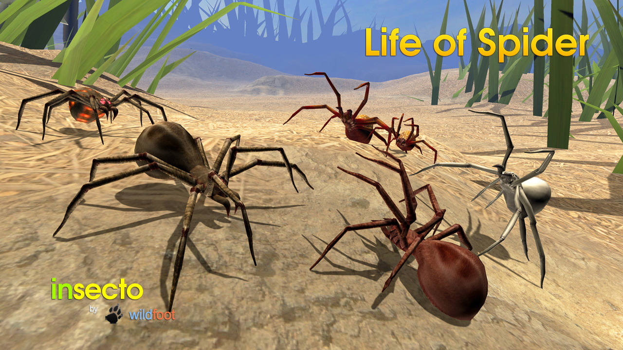 Life of Spider - App on Amazon Appstore